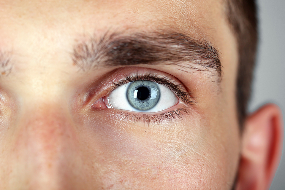 Emergency Eye Care Niles | Eye Injuries Norwood Park, IL